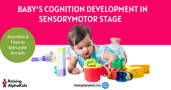 Activities & Toys for Cognition Development in Sensorymotor Stage ...