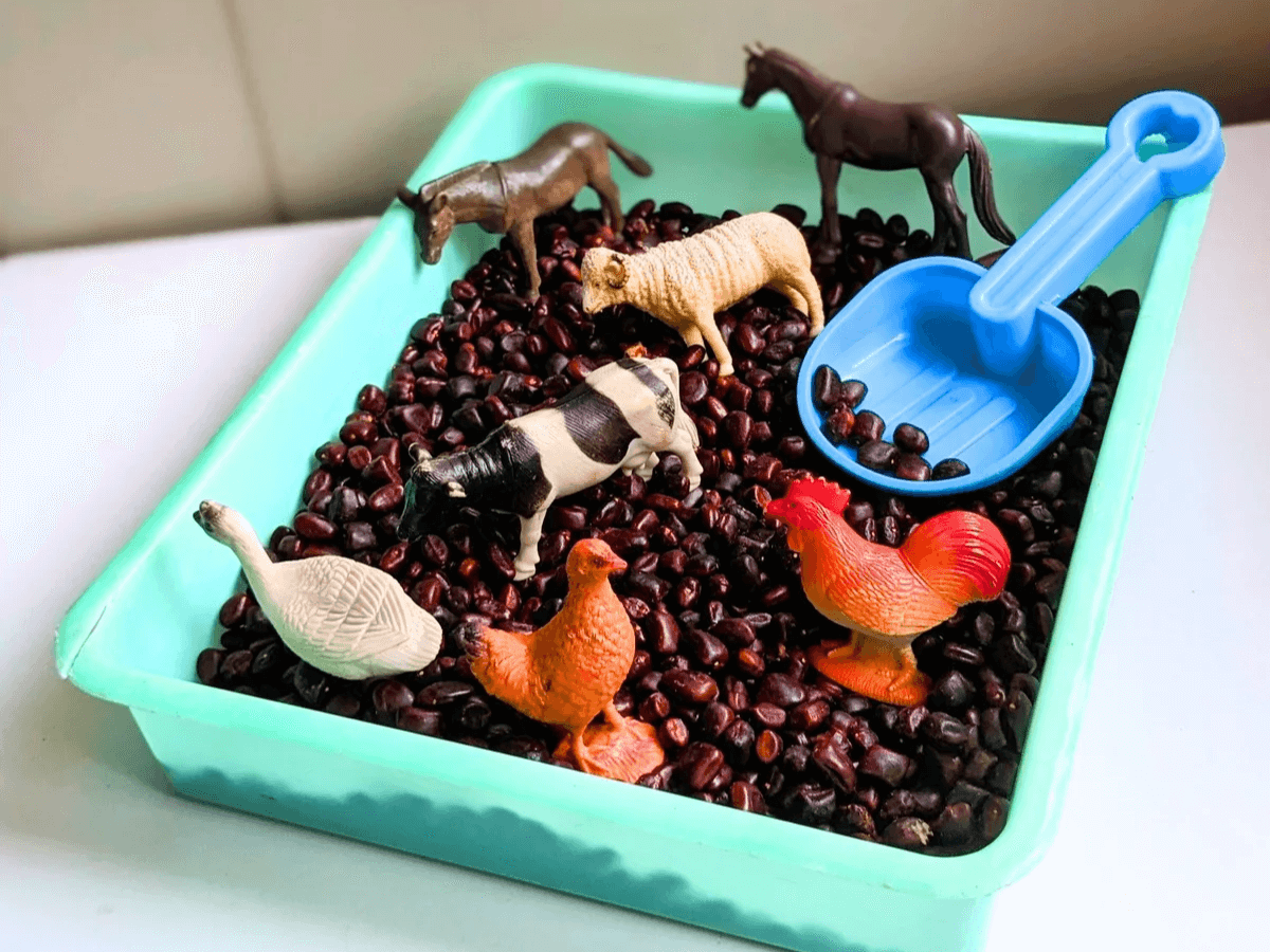 How to Make Animal Sensory Bin » Raising Alphakidz