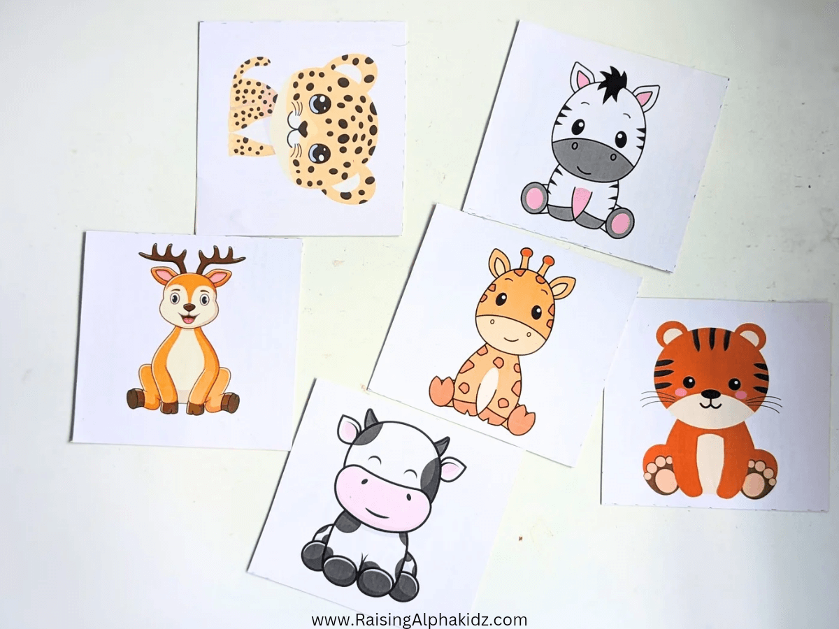 DIY Animal Skin Pattern Matching Cards » Raising Alphakidz