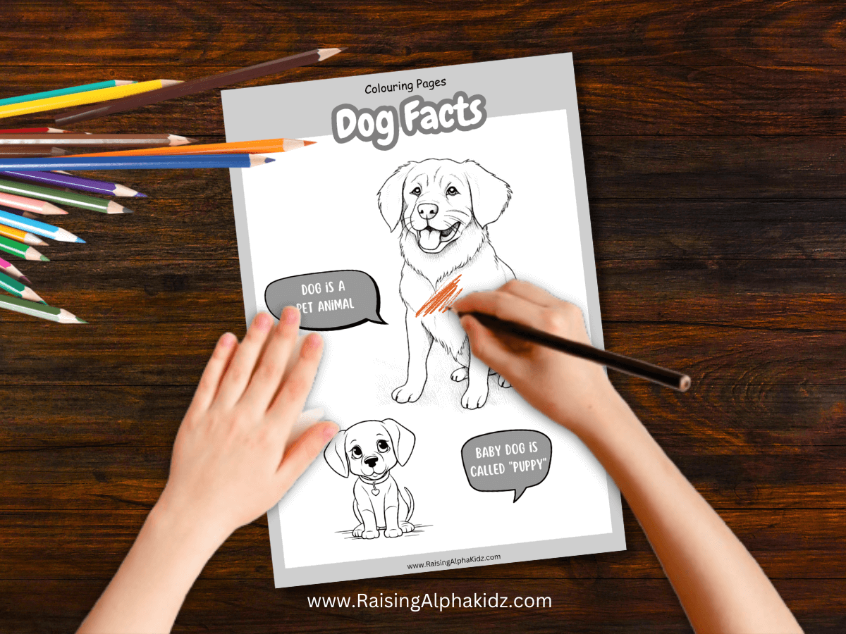Dog Colouring Pages - Free Templates » Raising Alphakidz