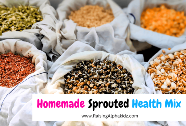Homemade Healthmix For Babies » Raising Alphakidz
