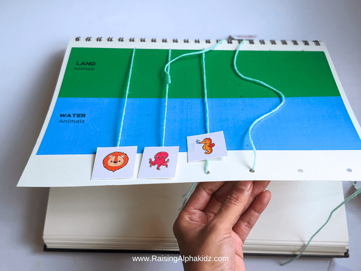 Land and Water Animals Activity » Raising Alphakidz
