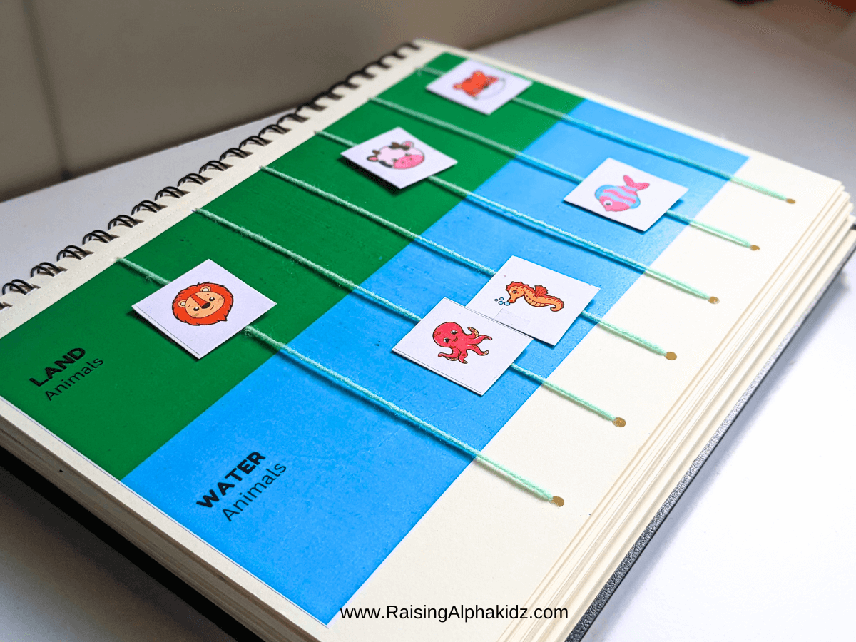 Land and Water Animals Activity » Raising Alphakidz