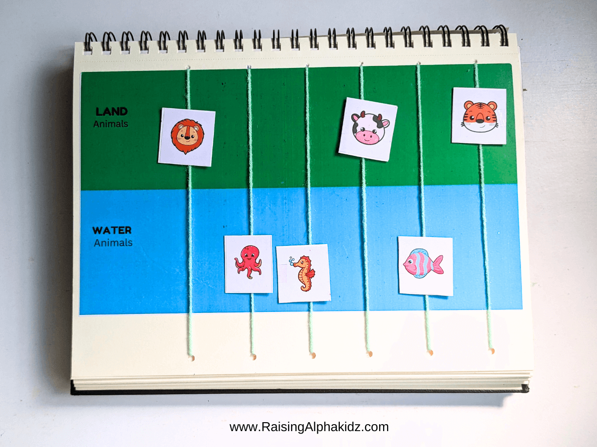 Animal and Their Food Matching Activity – Free Pdf » Raising Alphakidz