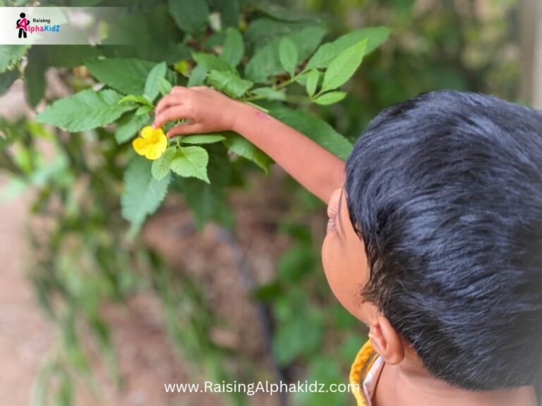 Nature Color Scavenger Hunt For Preschool » Raising Alphakidz