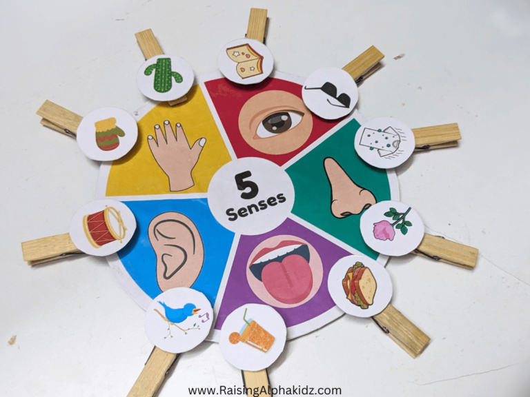 Five Senses Activity For Kindergarteners - Free PDF » Raising Alphakidz
