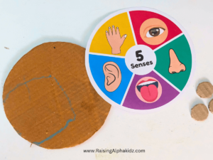 Five Senses Activity For Kindergarteners - Free PDF » Raising Alphakidz