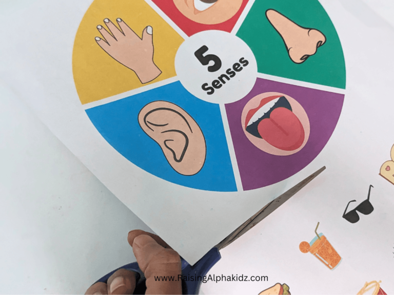 Five Senses Activity For Kindergarteners - Free PDF » Raising Alphakidz