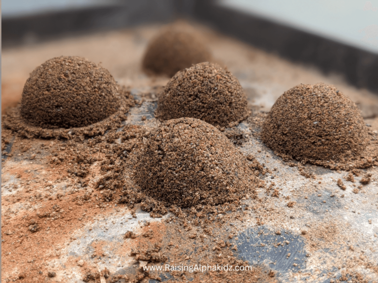 Exploring Sand & Shapes: A Sensory Sand Play Activity » Raising Alphakidz