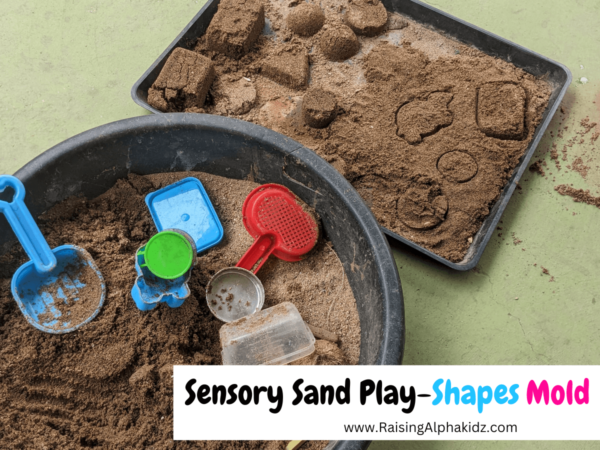 Exploring Sand & Shapes: A Sensory Sand Play Activity » Raising Alphakidz