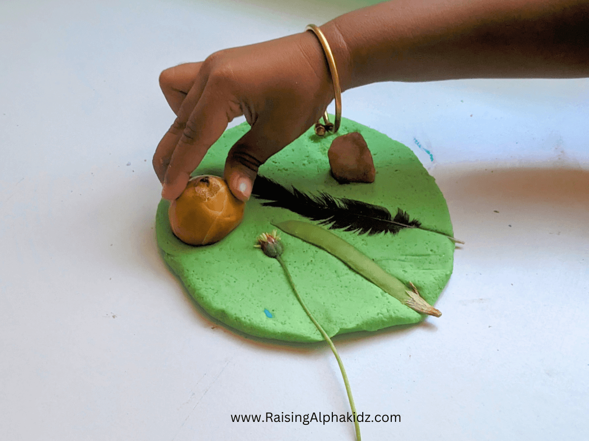 Nature Walk Activities » Raising Alphakidz