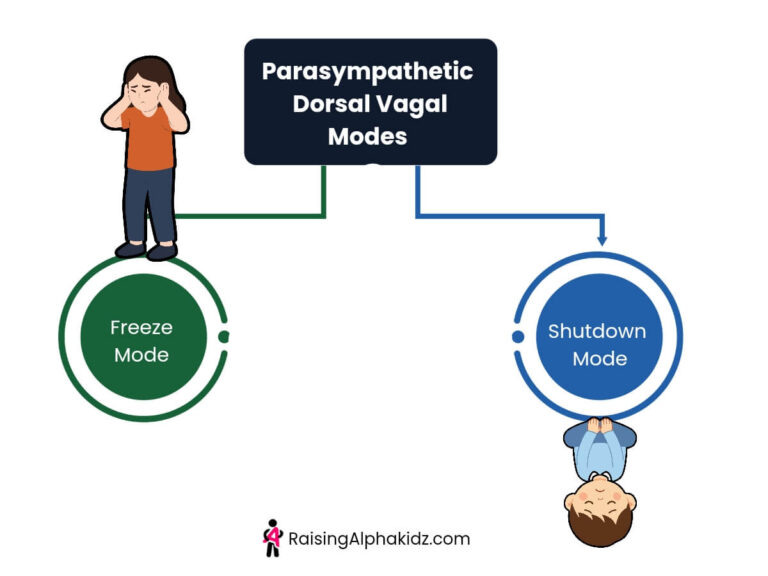 Understanding Children Behaviour | Know The Role of The Nervous System ...